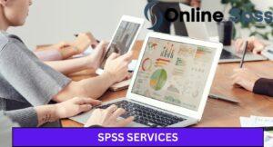 SPSS Data Analysis Services | Online-SPSS.com