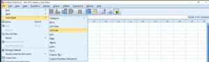 How to Import Data into SPSS - A step-by-step guide